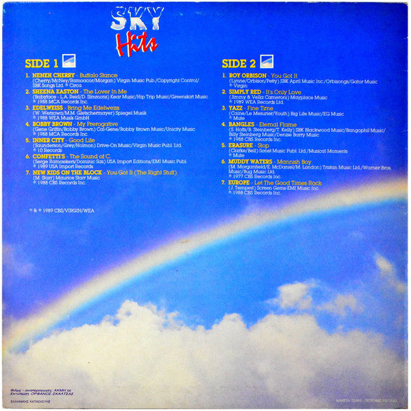 Various Artist - Sky Hits - LP (Used Vinyl) – cavo.ae